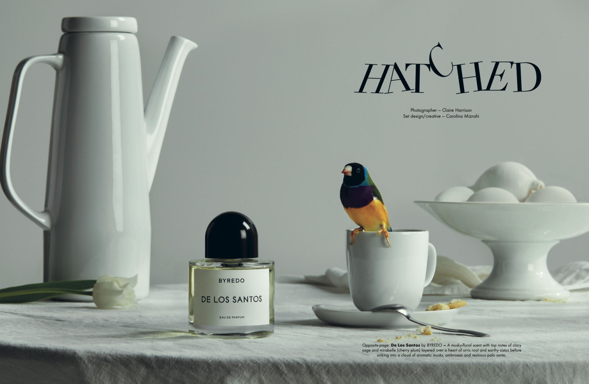 Rakes Sense – Design Intelligence